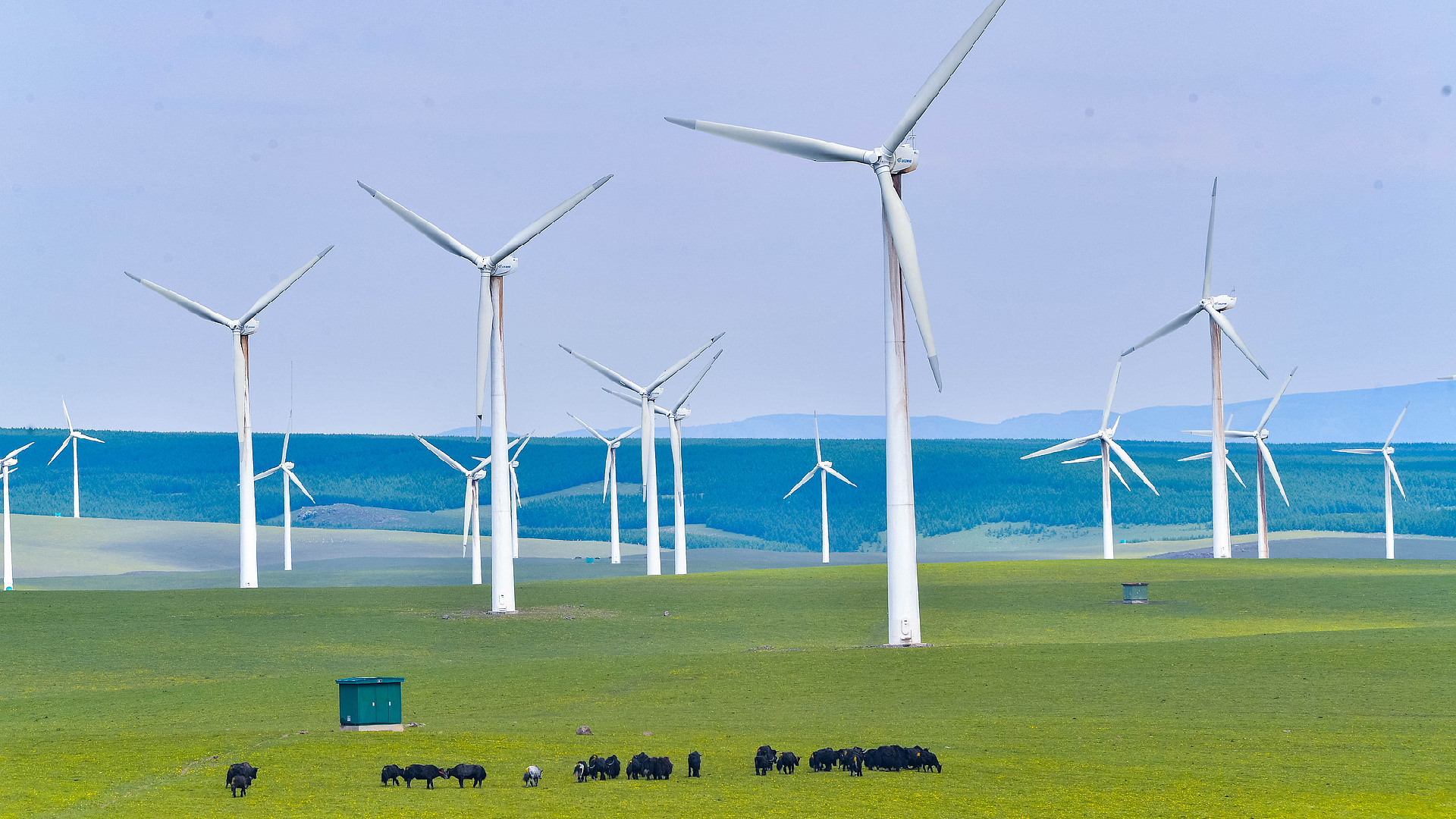 Environmental protection, a highlight of Sino-Danish cooperation - CGTN