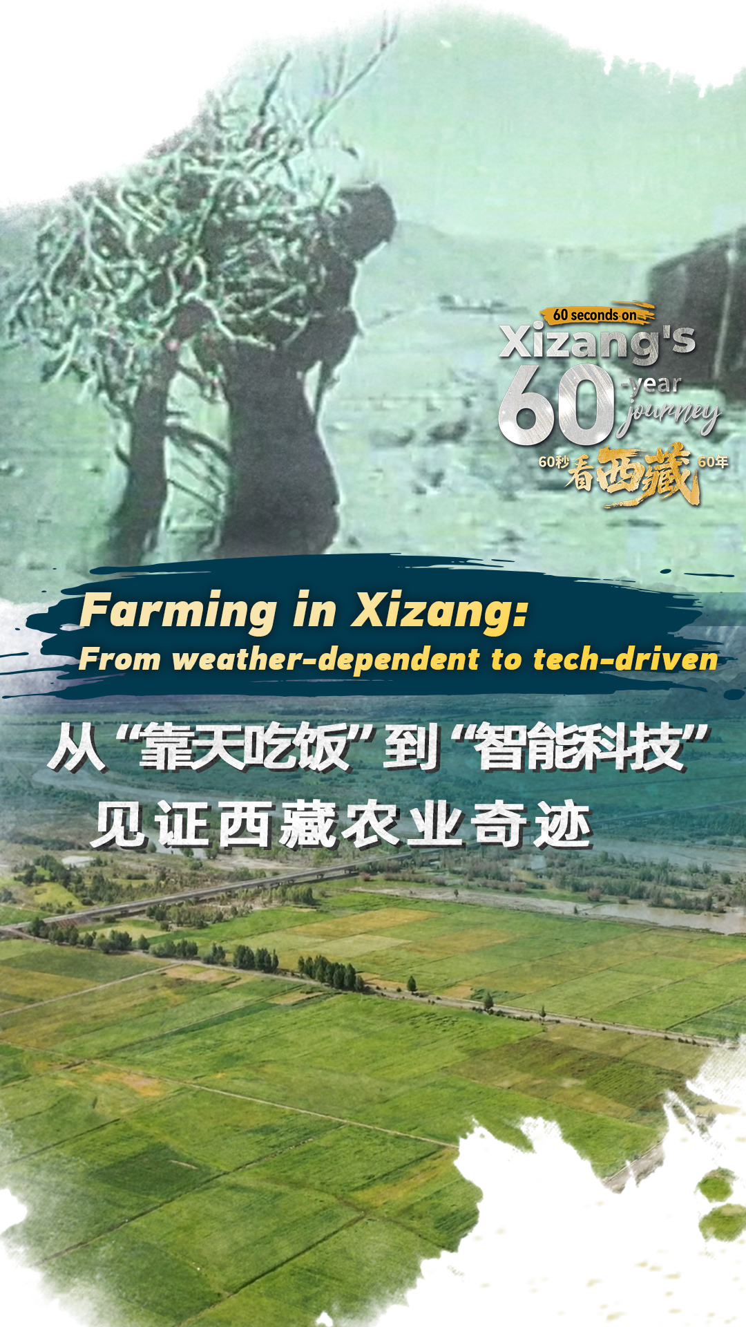 Video News of Global Edition, Video Stories of China | CGTN