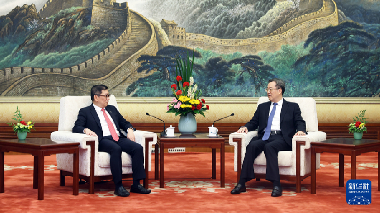 Chinese vice premier meets CEO of Singapore's GIC - CGTN