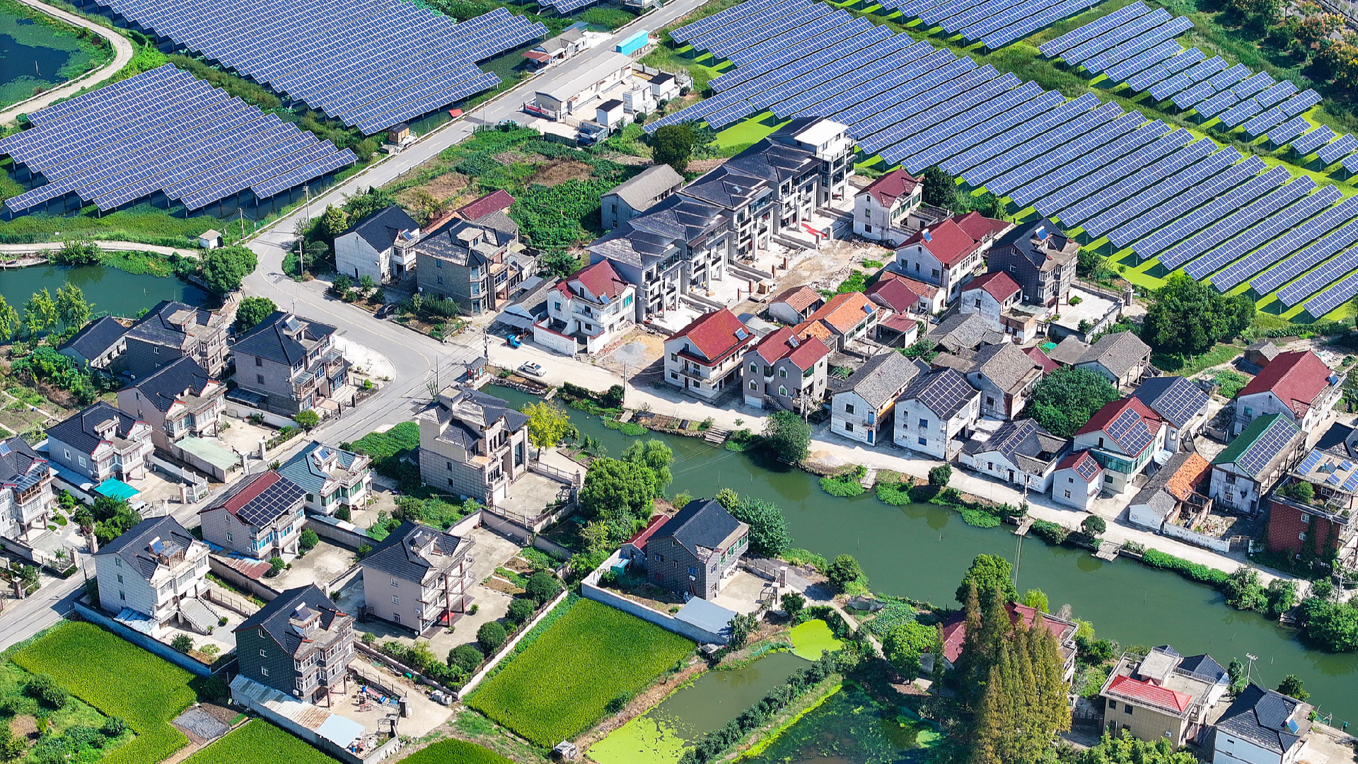 China and UN at 80: A shared commitment to a greener future - CGTN