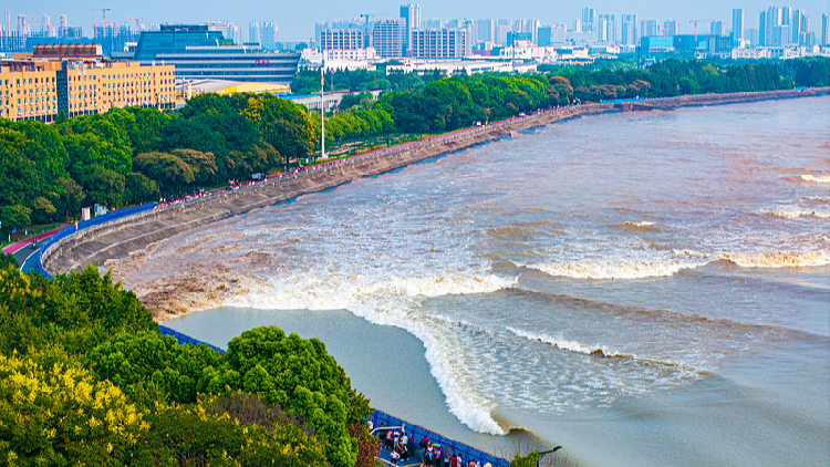 Live: Witness the Qiantang River tidal bore reaching its peak - CGTN