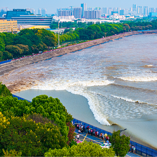 Live: Witness the Qiantang River tidal bore reaching its peak - CGTN