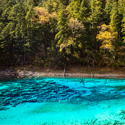 Live: Charming Five-Color Lake in Jiuzhaigou, SW China - Ep.2 - CGTN