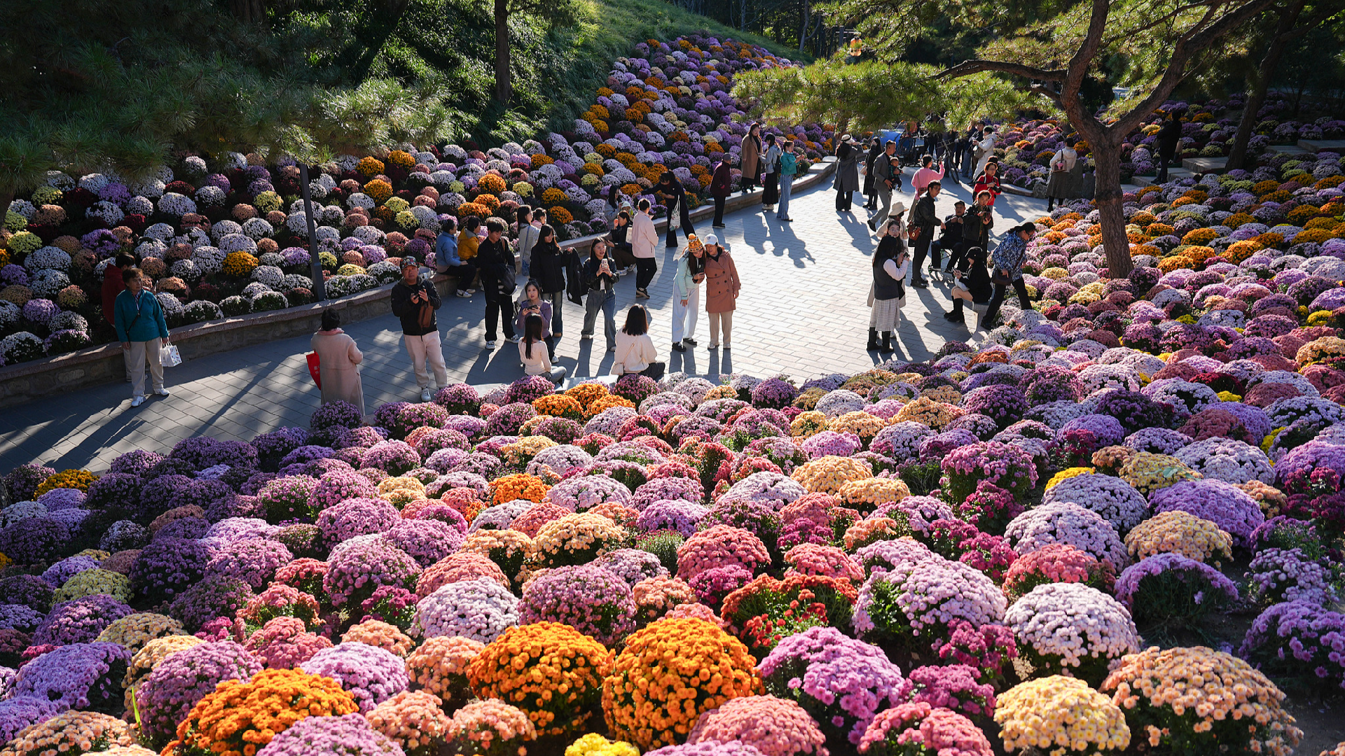 Visitors soak up seasonal splendor of Ritan Park in Beijing - CGTN
