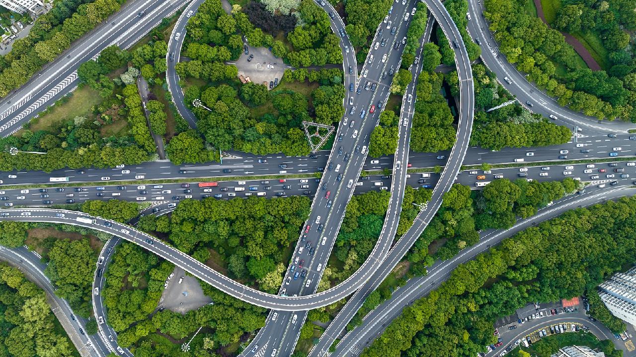 Study reveals humans move 40 times more than all wild animals combined ...