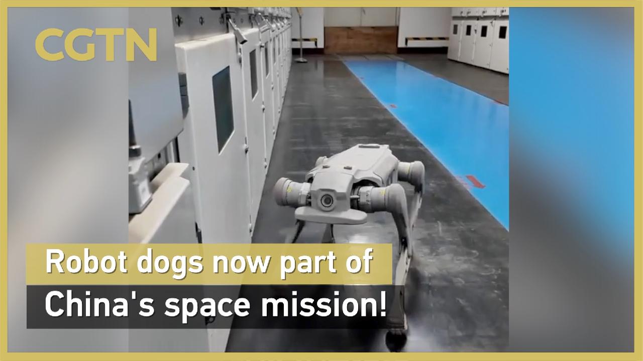Robot dogs now part of China's space mission! - CGTN