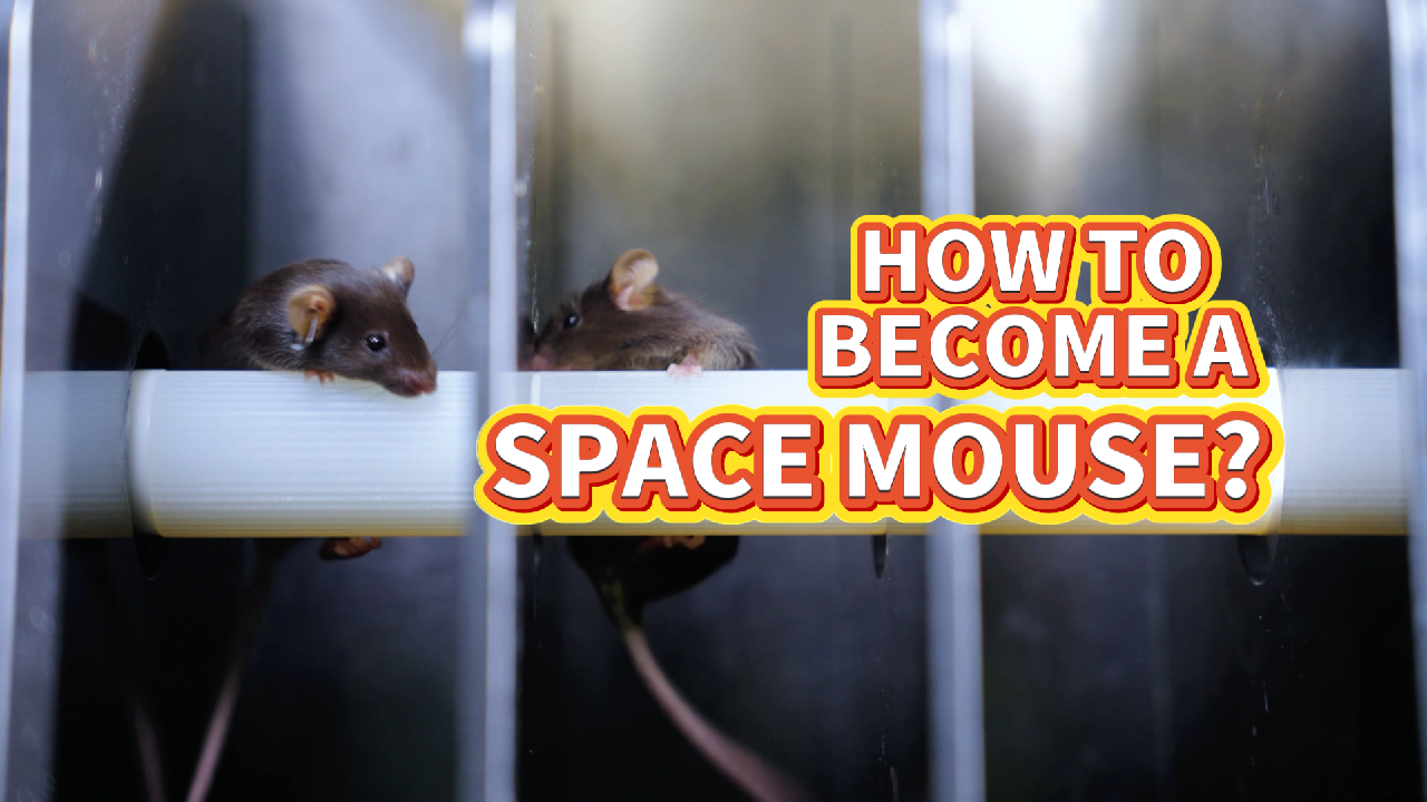 How to become a space mouse? - CGTN