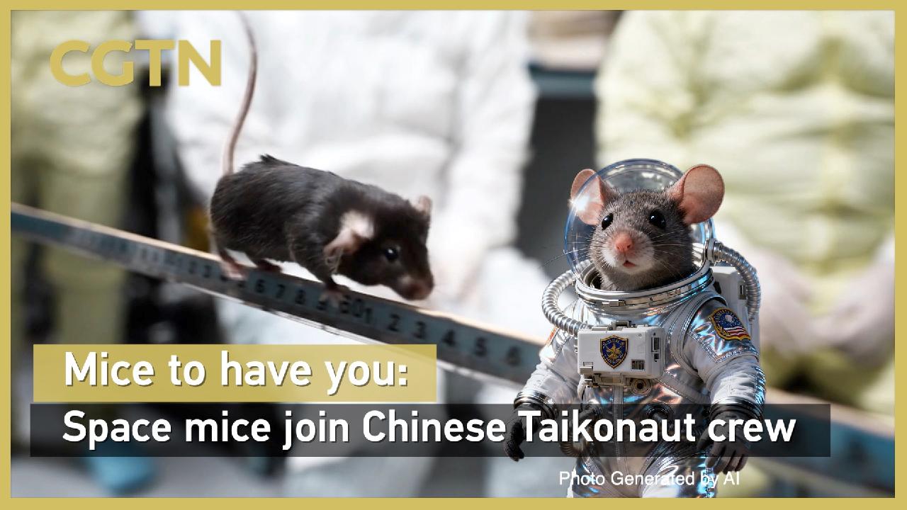 Mice to have you: Space mice join Chinese Taikonaut crew - CGTN