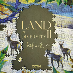 Watch: Land of Diversity II – The story of humans and the biosphere - CGTN