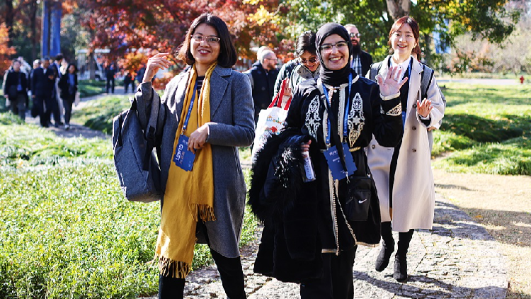 President Xi encourages young sinologists to bridge China, the world - CGTN