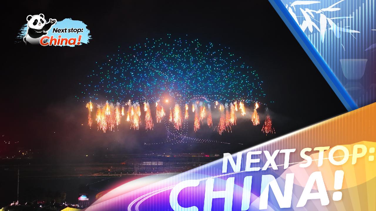 'Tree of Life' lights up the skies above Liuyang - CGTN