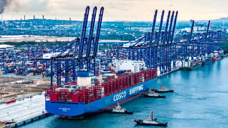 Yangpu Port: Building a globally competitive hub for Hainan FTP - CGTN