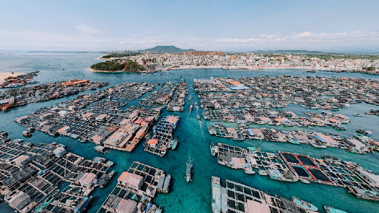Floating maze: Discovering Hainan's 500-year-old Tanka fishing village ...