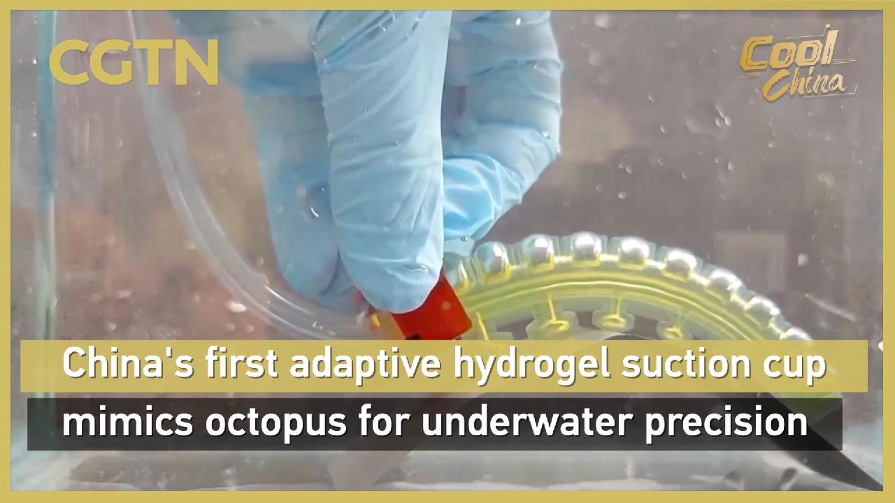 China's 1st adaptive hydrogel suction cup mimics octopus for precision ...