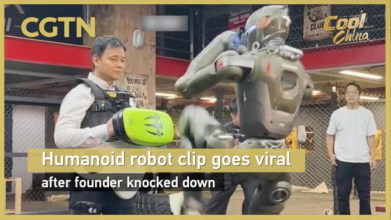 Humanoid robot clip goes viral after founder knocked down - CGTN