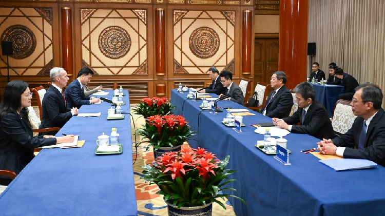 Chinese vice premier calls for more cooperation between China, U.S. - CGTN