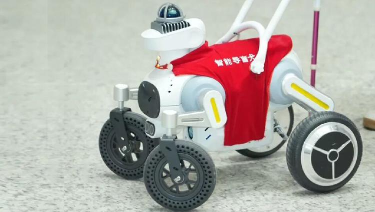 Shenzhen Metro pilots robot guide dog service - CGTN