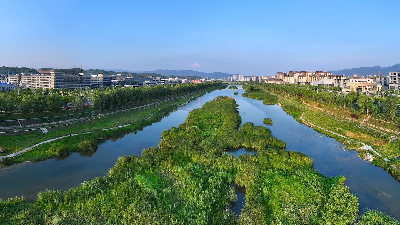 China mulls greater int'l cooperation with draft environmental code - CGTN