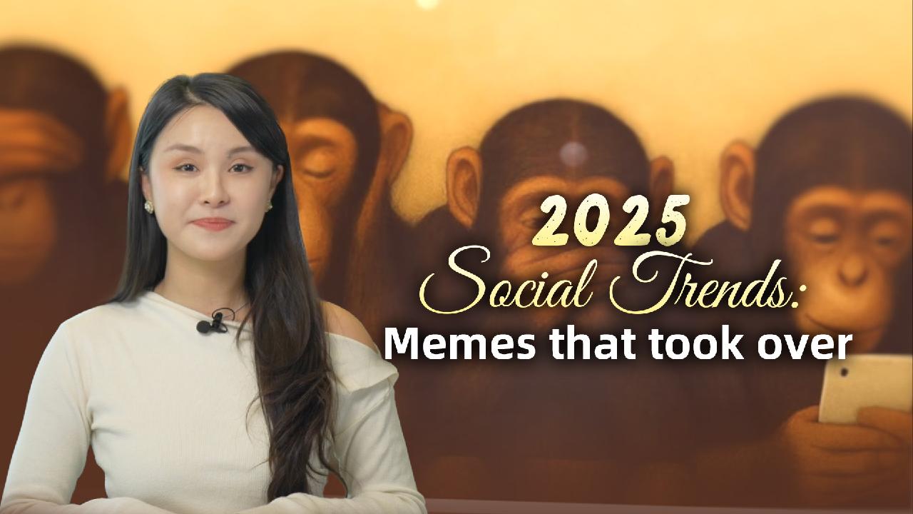 2025 social trends: Memes that took over - CGTN