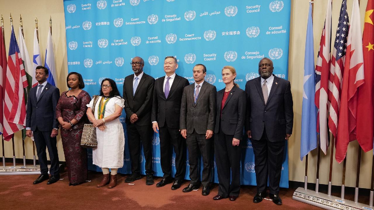 5 countries begin terms as UN Security Council non-permanent members - CGTN