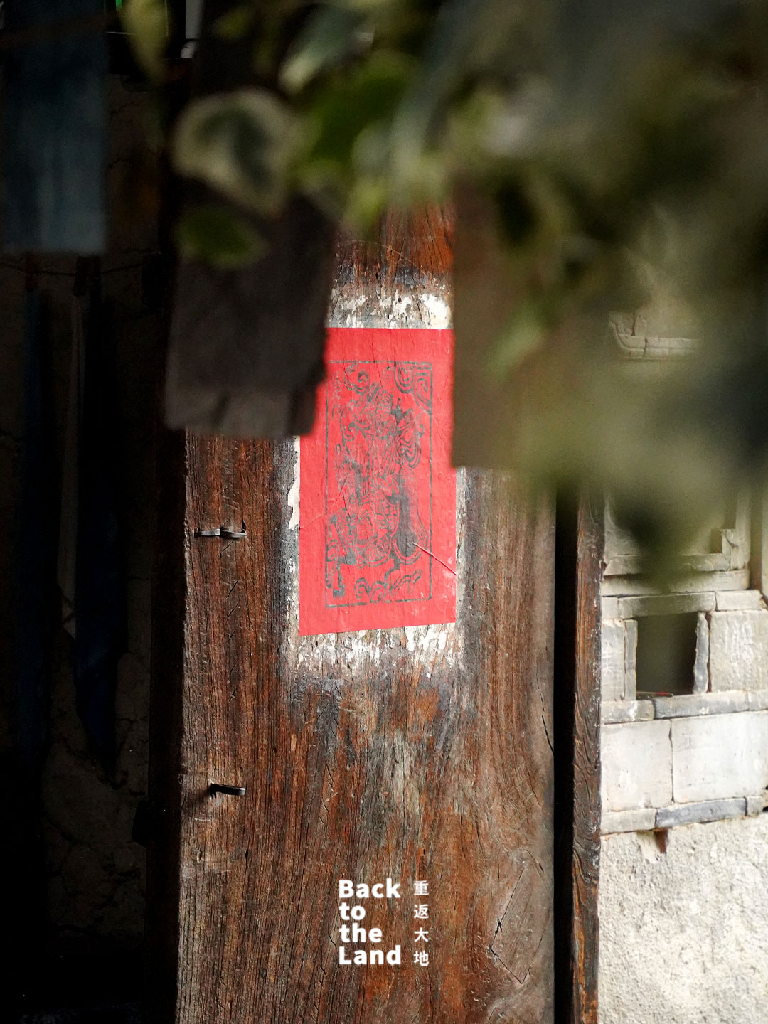 Jia ma: From ancient gods to viral prints - CGTN