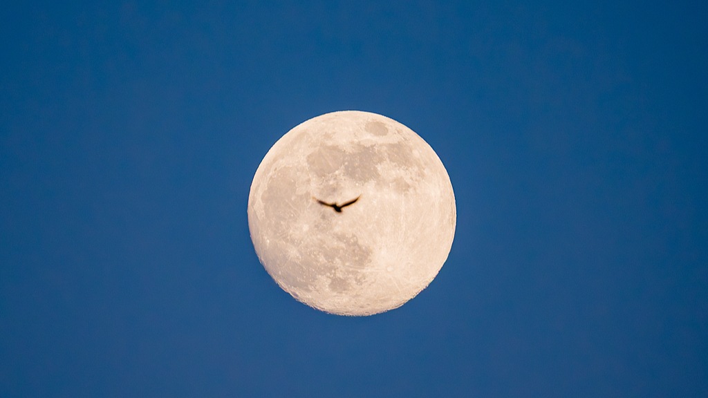 Supermoon and Quadrantid meteor shower to light up night sky - CGTN