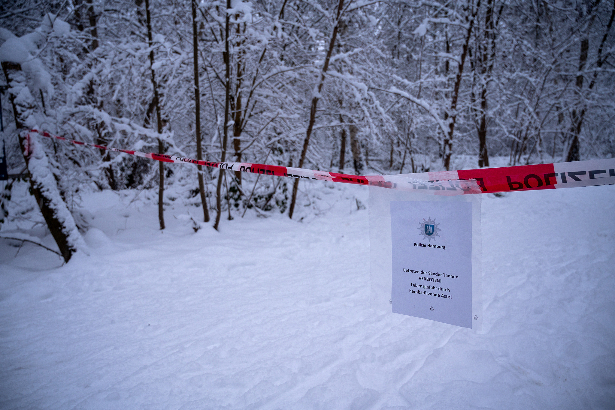 Arctic blast grips Europe, bringing snow, ice and disruption - CGTN