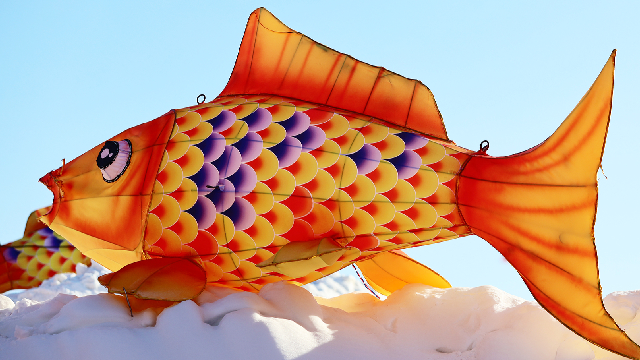 Ice fishing traditions take center stage in Songyuan, Jilin - CGTN