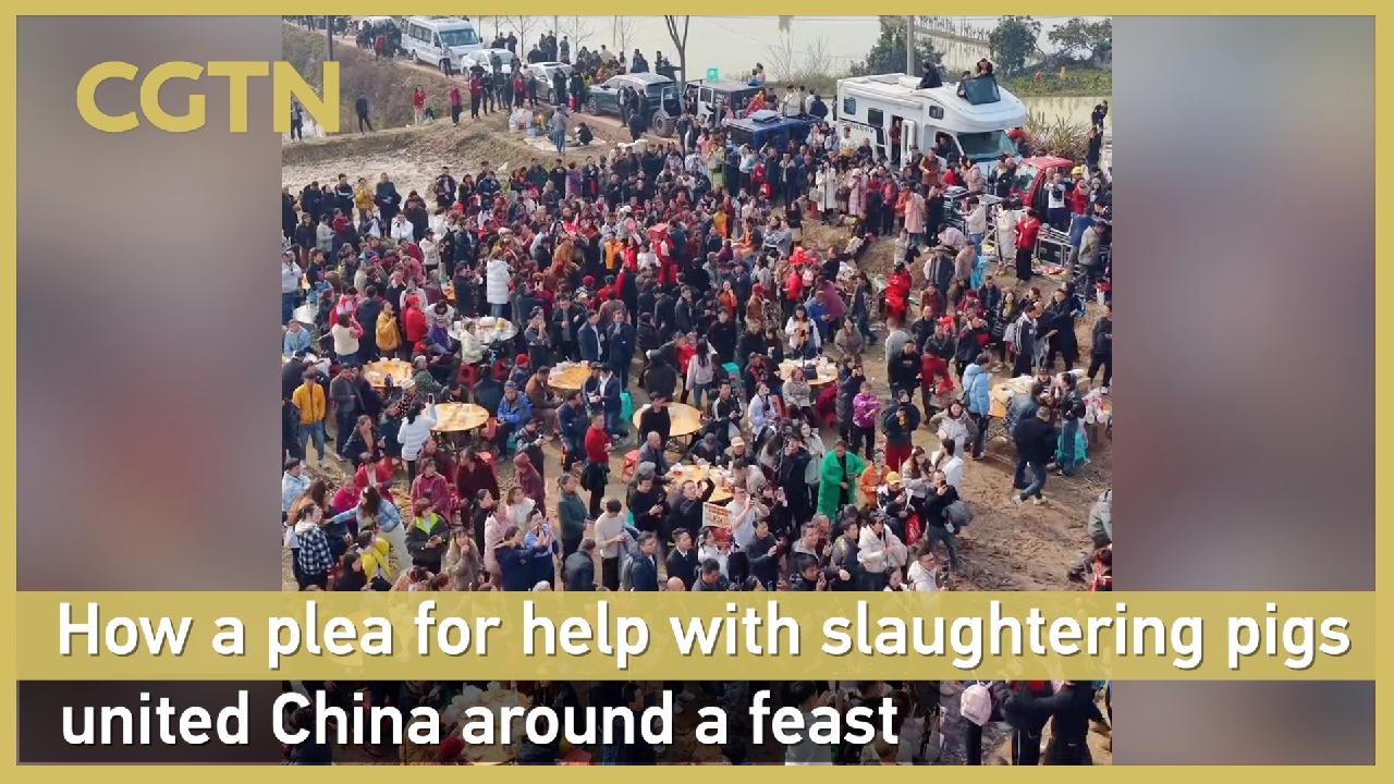 How a plea for help with slaughtering pigs united China around a feast ...