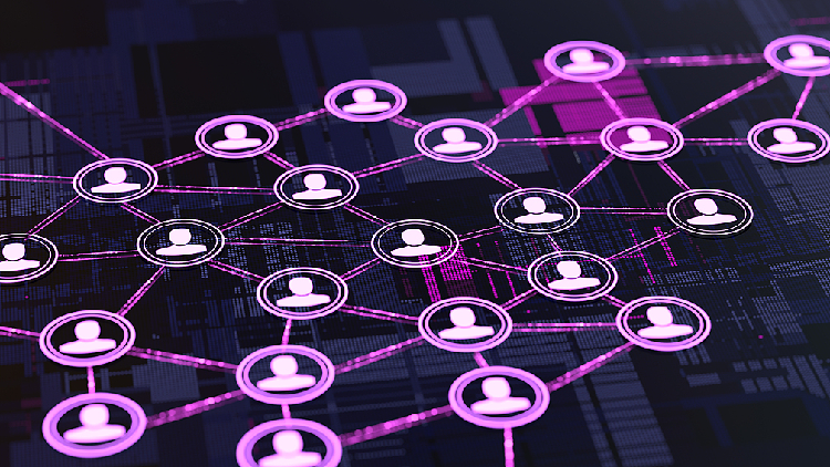 X open-sources feed algorithm, with AI-driven scoring at its core - CGTN