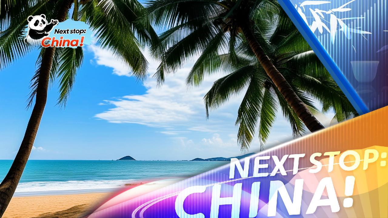 Soak up the winter sunshine on Sanya's Coconut Dream Corridor - CGTN