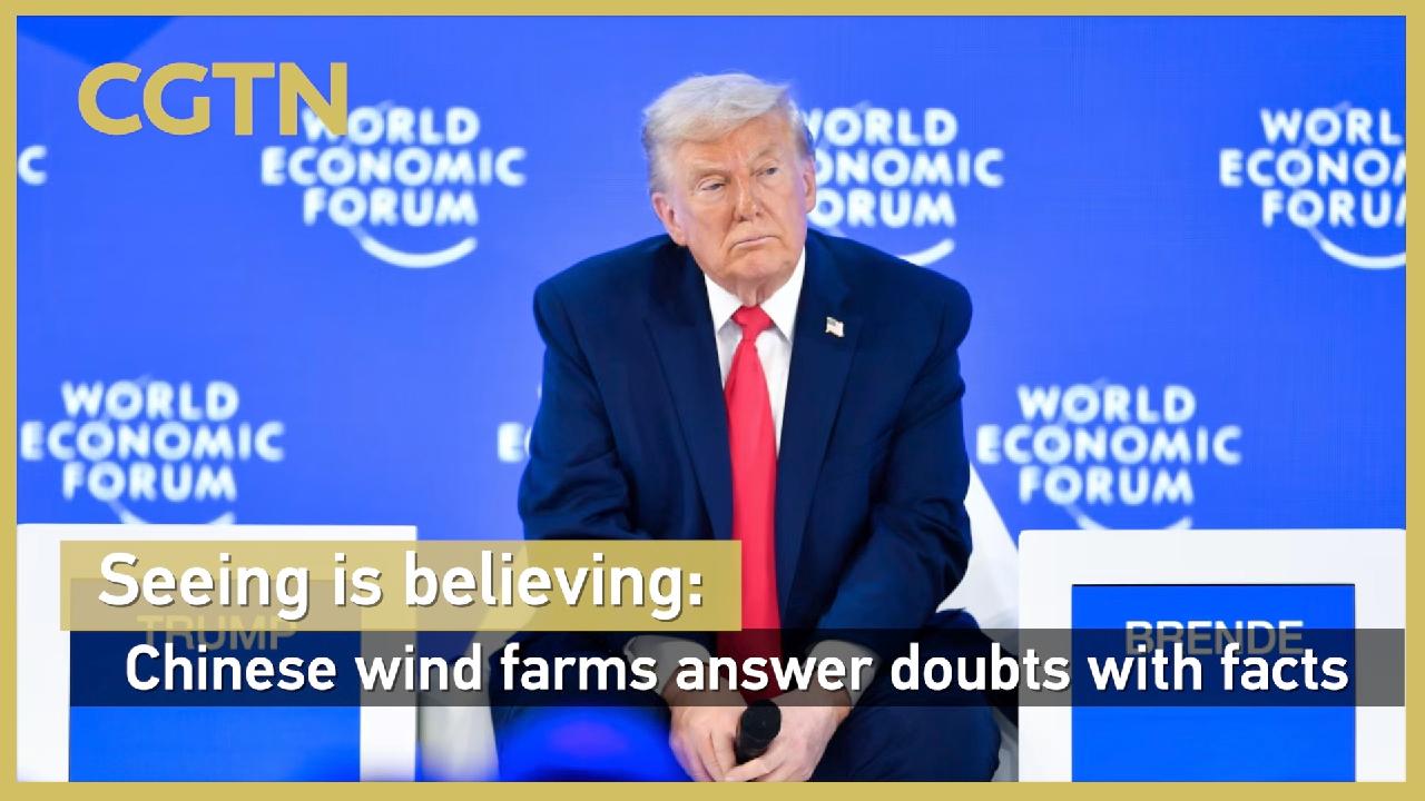 Seeing is believing: Chinese wind farms answer doubts with facts - CGTN