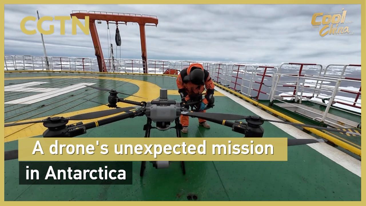A drone's unexpected mission in Antarctica - CGTN