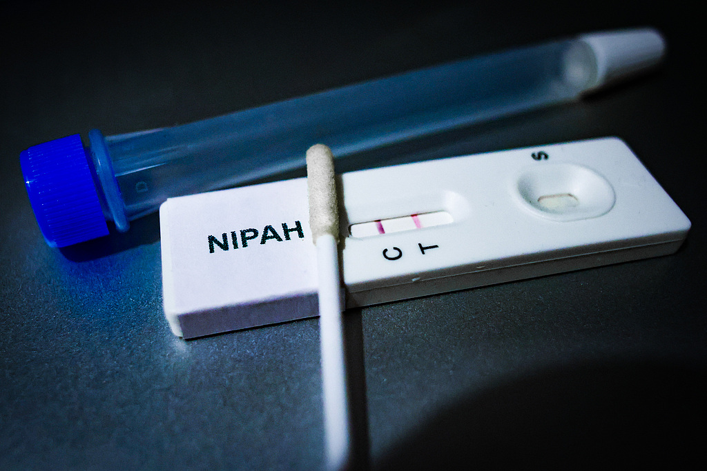 WHO reports on recent Nipah virus infections in India - CGTN