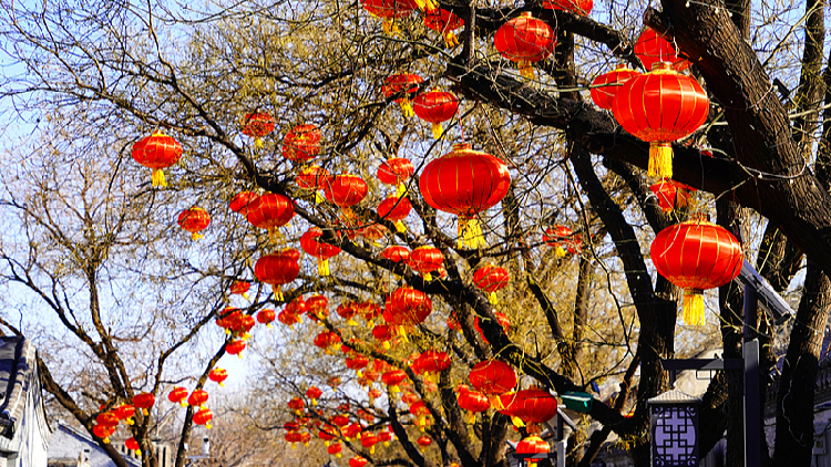 Chinese leaders extend Spring Festival greetings to retired officials ...