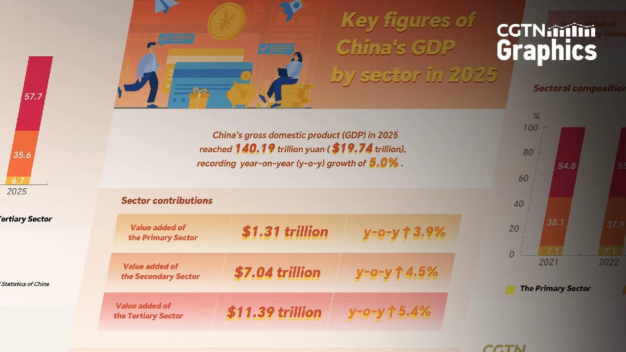 Graphics: China's GDP by sector in 2025 - CGTN
