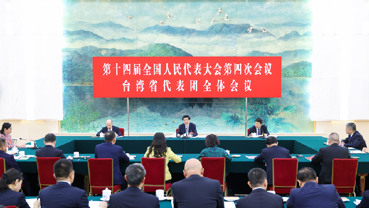 Chinese leaders attend deliberations at annual legislative session - CGTN