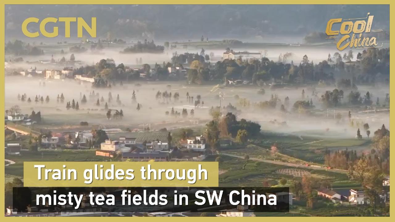 Train glides through misty tea fields in SW China - CGTN