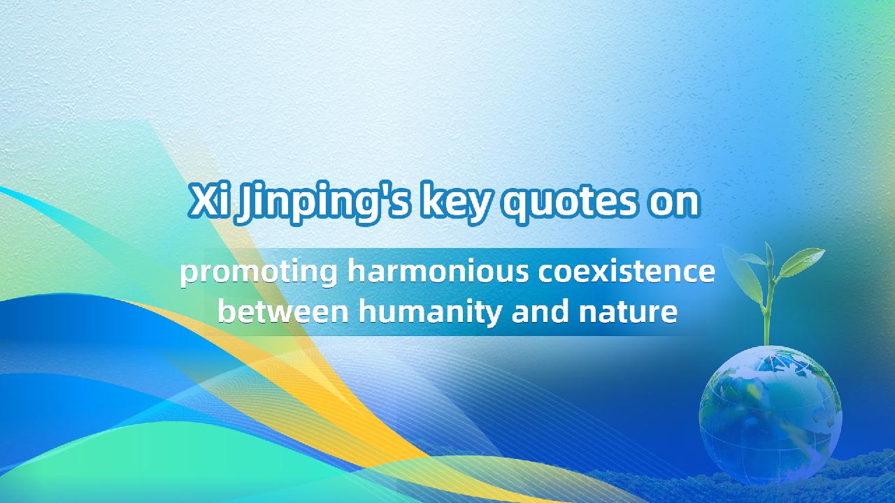 Xi Jinping's key quotes on promoting harmony between humanity, nature ...