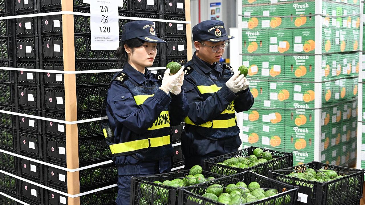 China welcomes first African imports under expanded zero-tariff policy ...