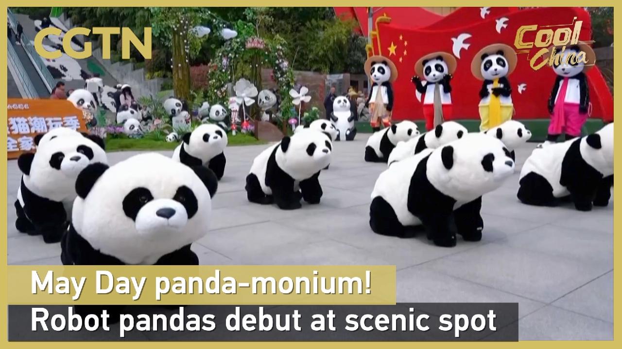 May Day panda-monium! Robot pandas debut at scenic spot - CGTN