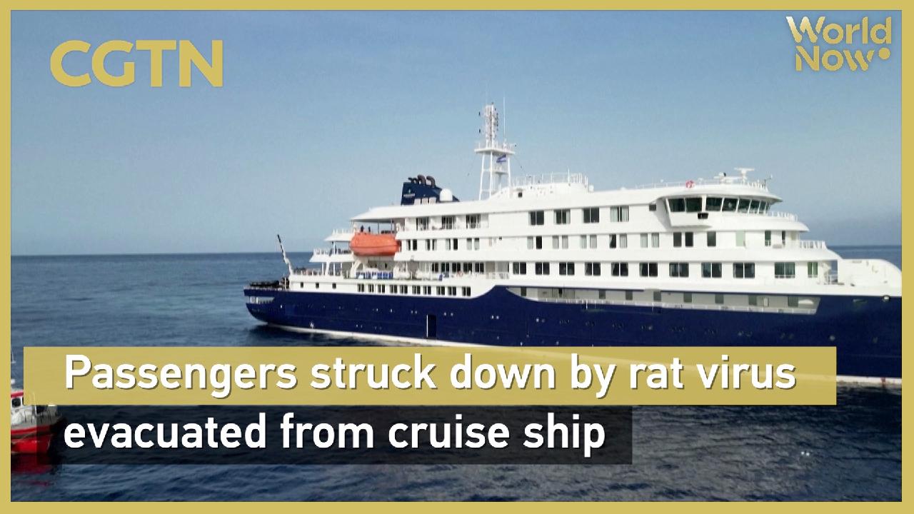 Passengers struck down by rat virus evacuated from cruise ship - CGTN