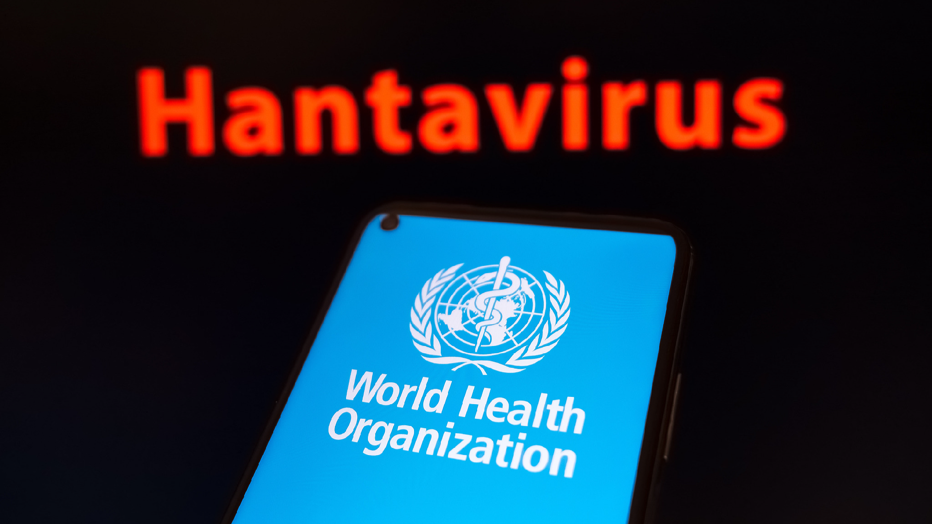 Understanding and preventing hantavirus: Expert insights - CGTN