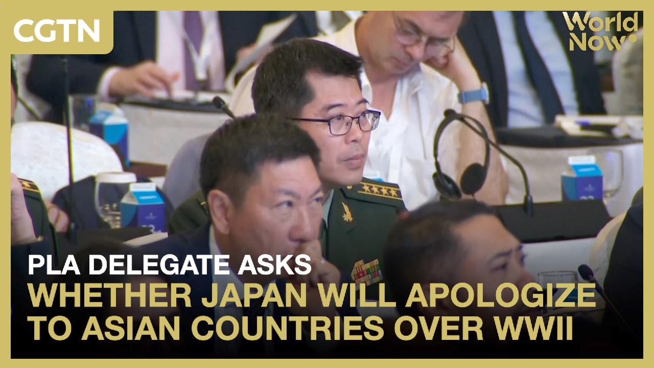 PLA delegate asks whether Japan will apologize to Asian countries over ...