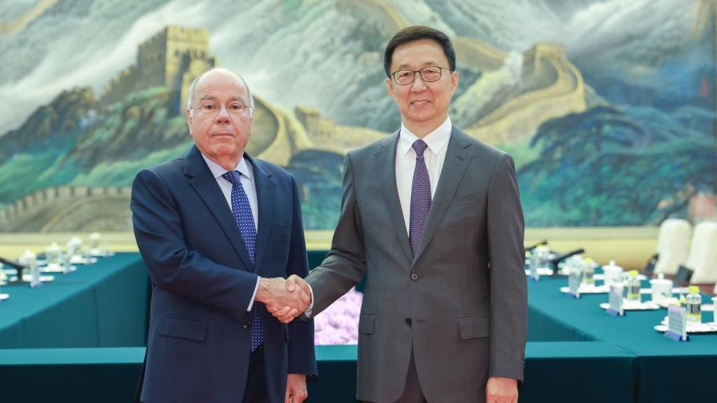 Chinese vice president meets Brazilian FM - CGTN