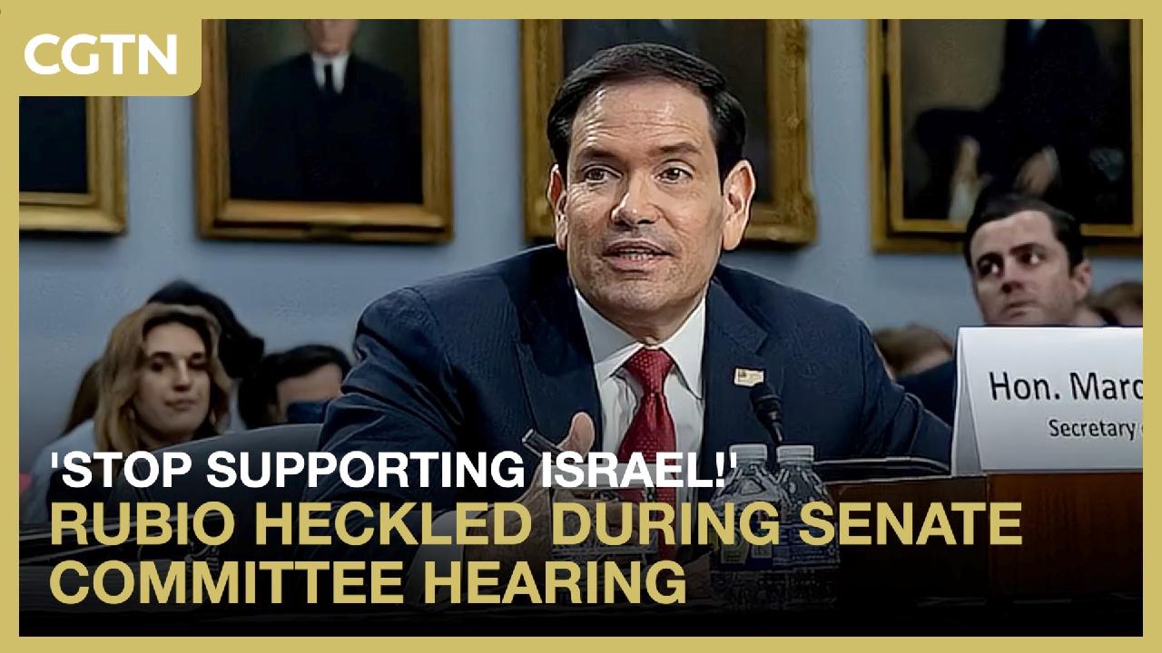 'Stop supporting Israel' - Rubio heckled at Senate committee hearing - CGTN