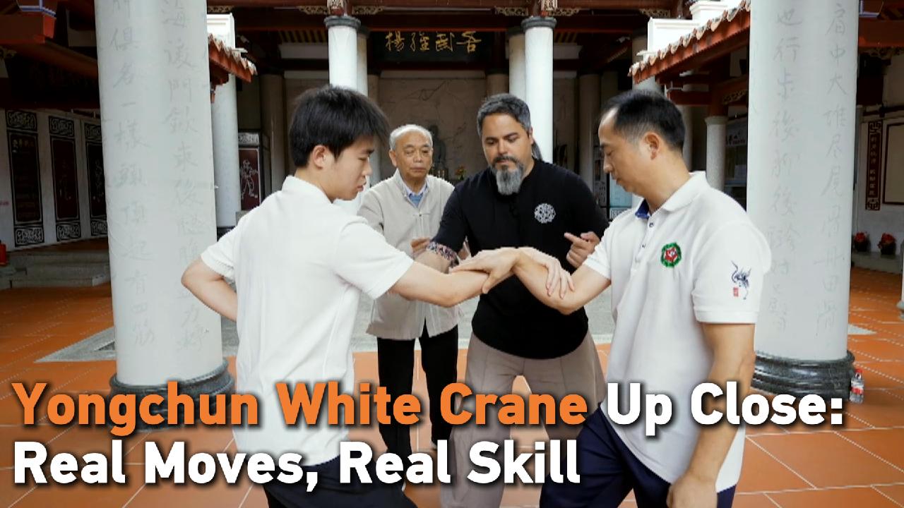 Yongchun White Crane up close: Real moves, real skill - CGTN