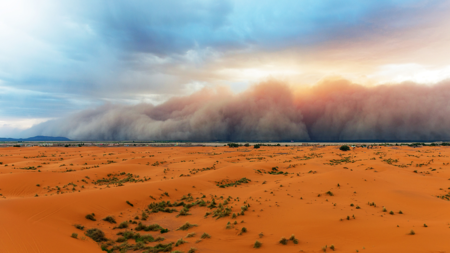 Human activities the main factor for Asian dust storm 2,000 years ago ...