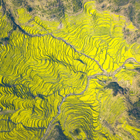 China's Flora Tour: Four colors of Jiangxi Province - CGTN