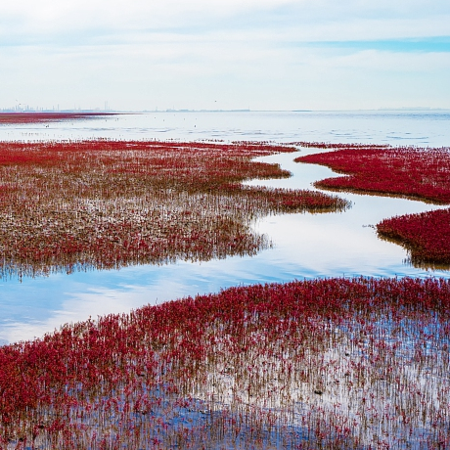 What's behind the change in color at 'Red Beach'? - CGTN